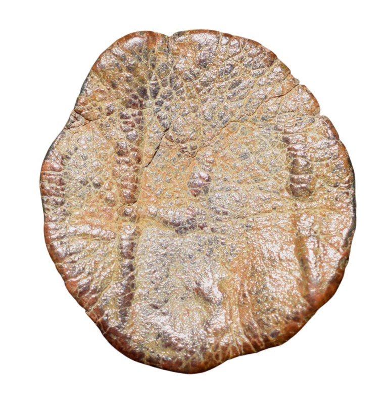 Lead Coin of Vakataka’s (5th – 7th Cen. AD) with Trident on Stand Rare ...