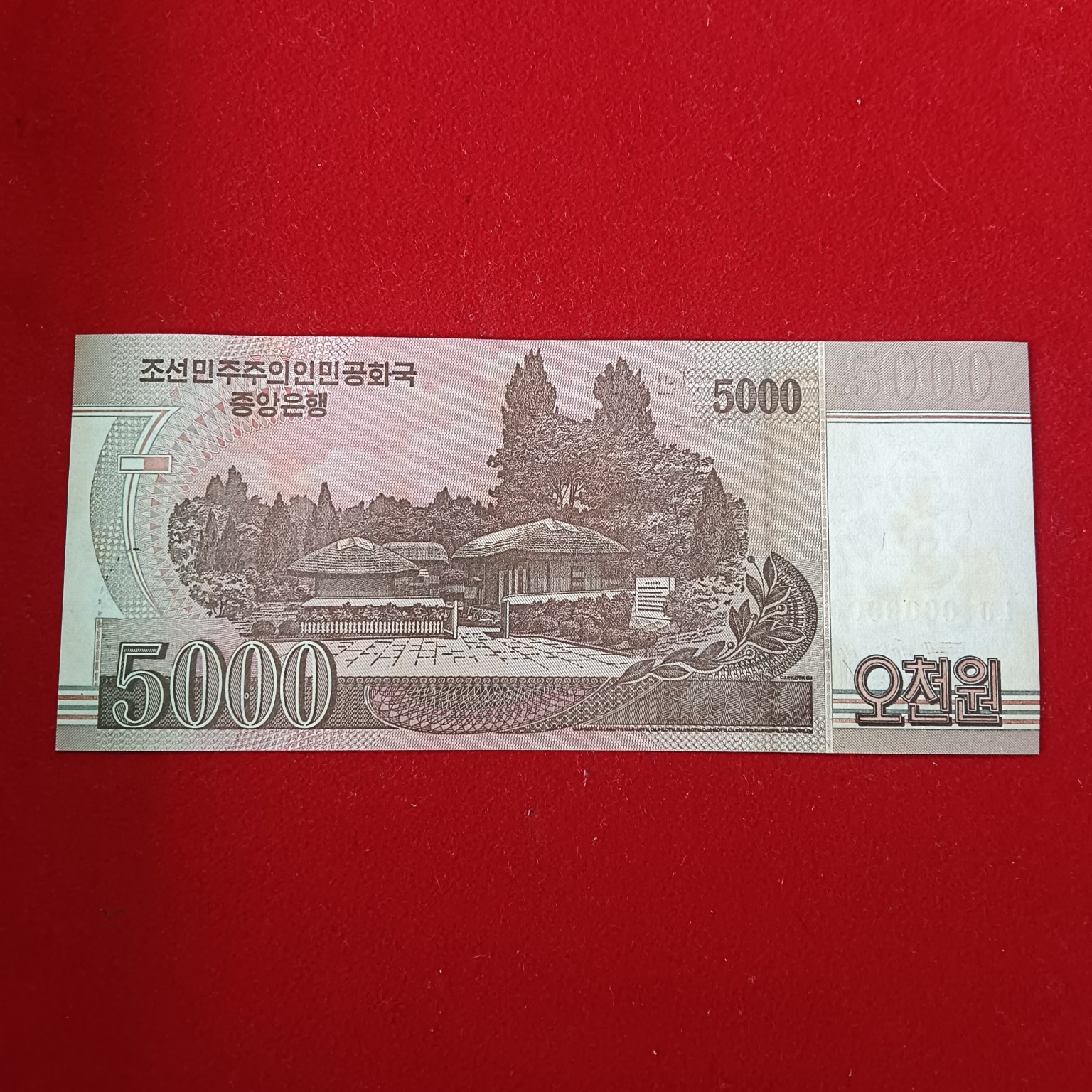 5000 Won North Korean Specimen Bank Note Issue Year 2008 Non ...